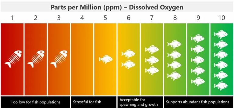 dissolved oxygen chart | Sussex Piscatorial Society